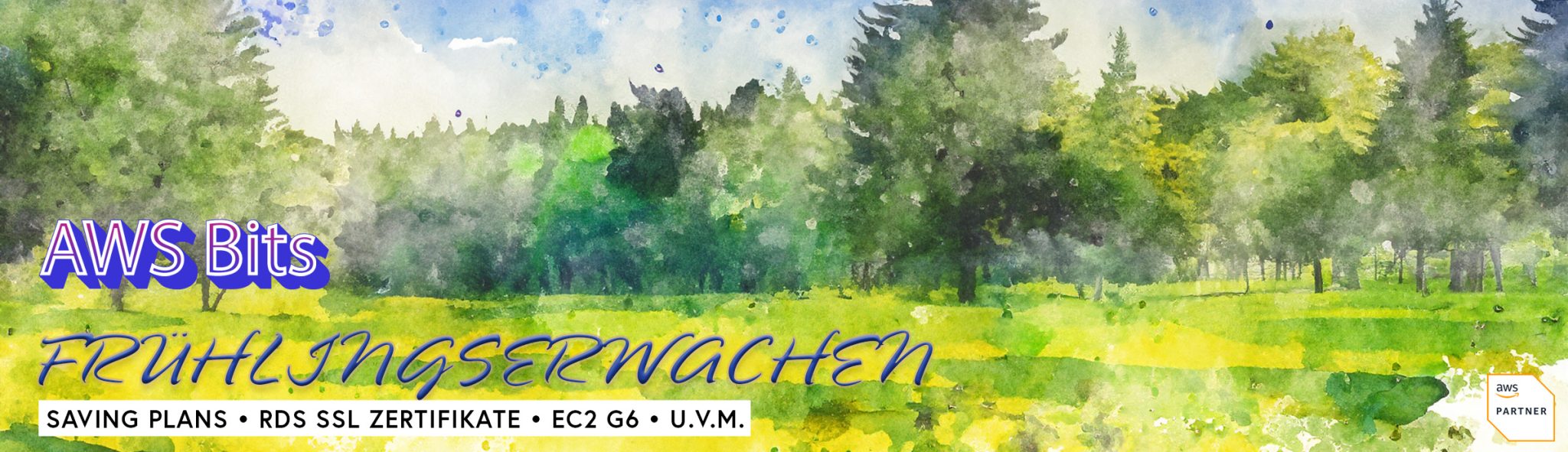 AWS Saving Plans, RDS-SSL-Zertifikate, EC2 G6 und mehr – Mayflower Blog